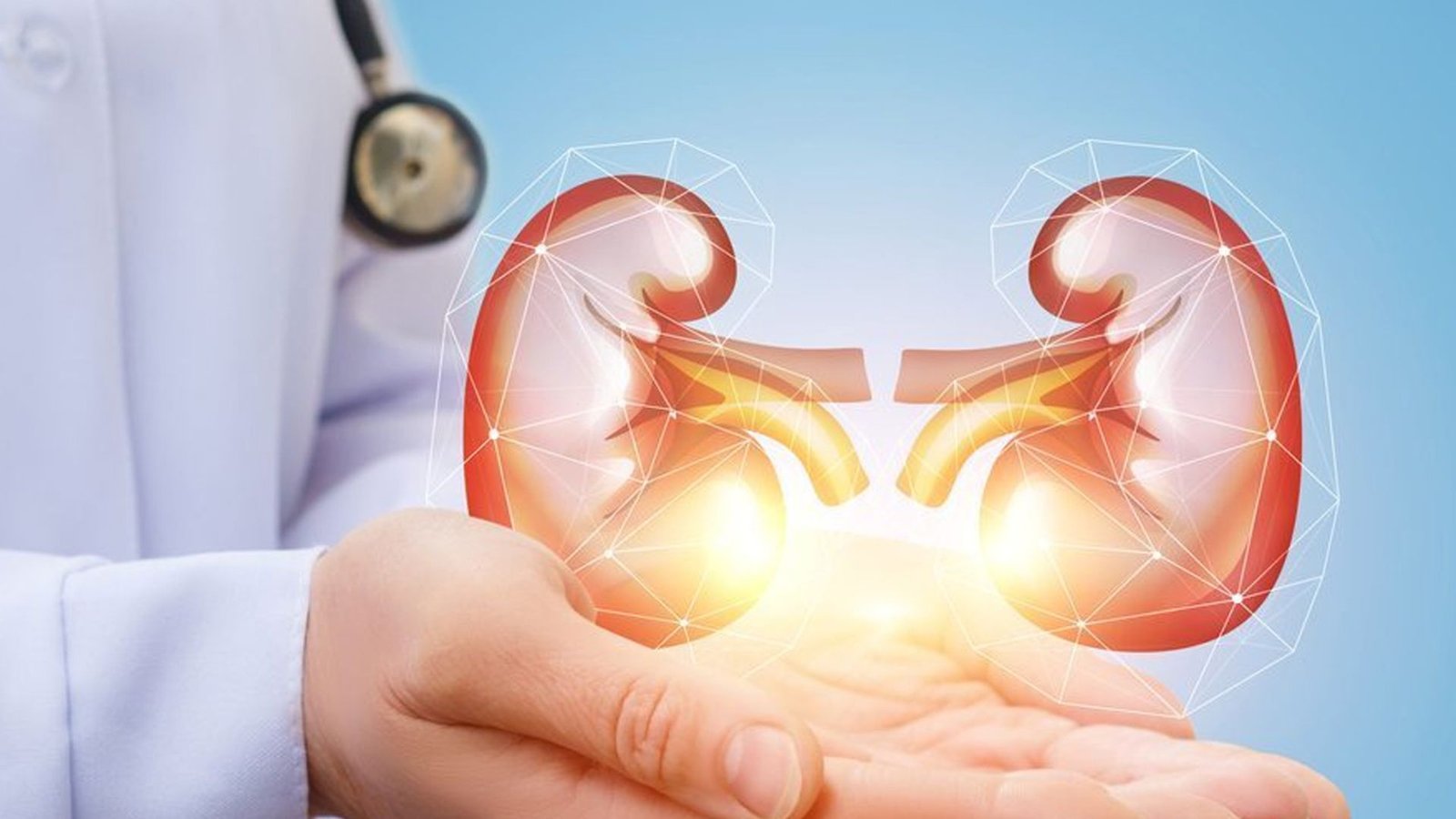 Kidney Transplant: What to Expect Before, During, and After